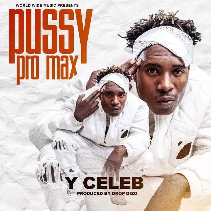 Y Celeb Pussy Pro Max Prod Drop Dizo
